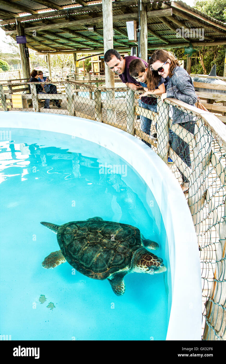 Family visiting Tamar Turtle Protection Project (Projeto Tamar), at ...