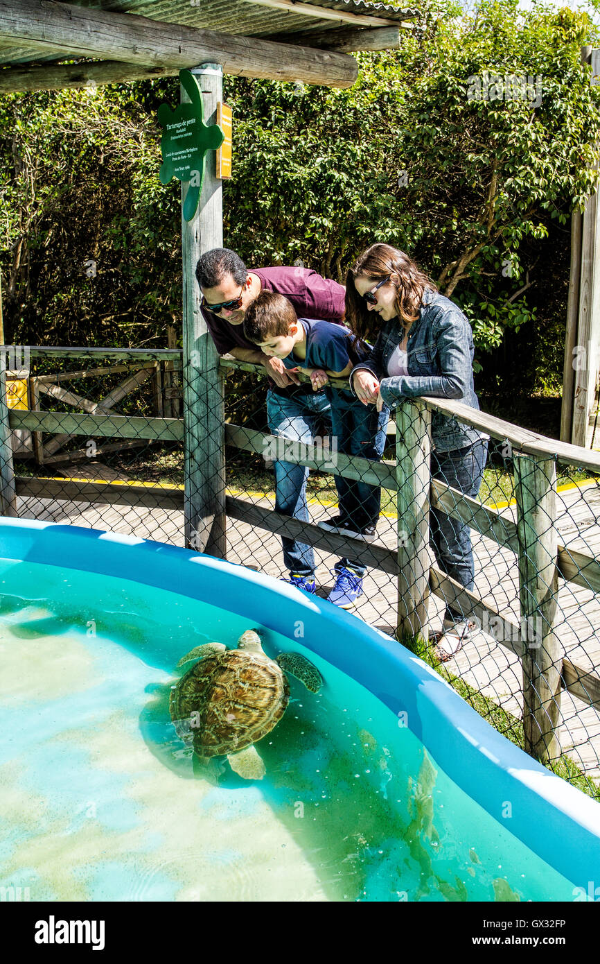 Family visiting Tamar Turtle Protection Project (Projeto Tamar), at ...