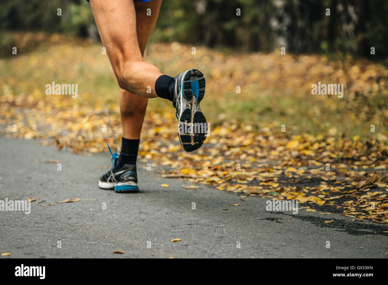 Running feet woods hi-res stock photography and images - Alamy