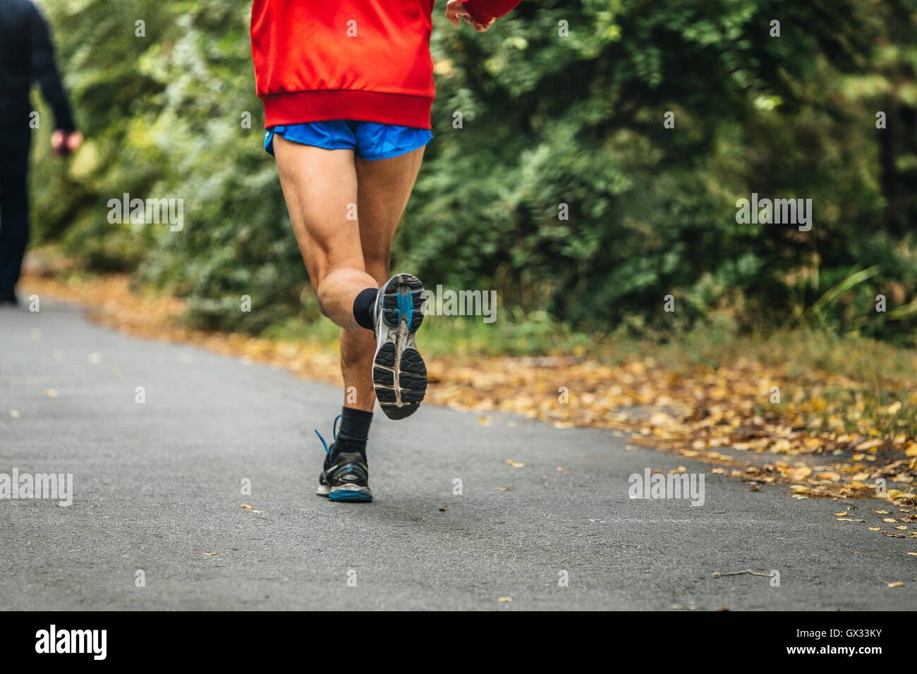 Trainers With Autumn Leaves High Resolution Stock Photography and ...