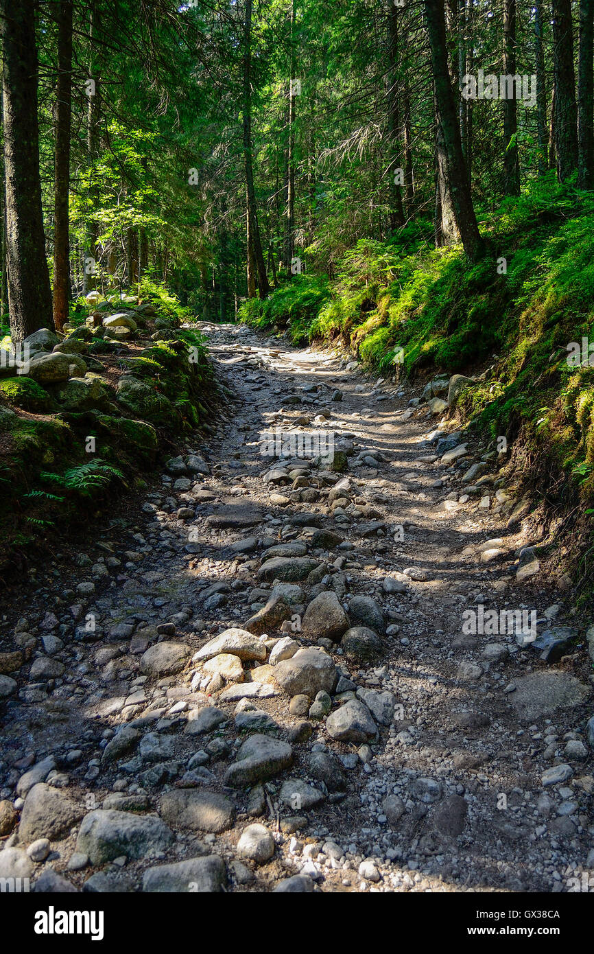 Tatra mountains path hi-res stock photography and images - Alamy