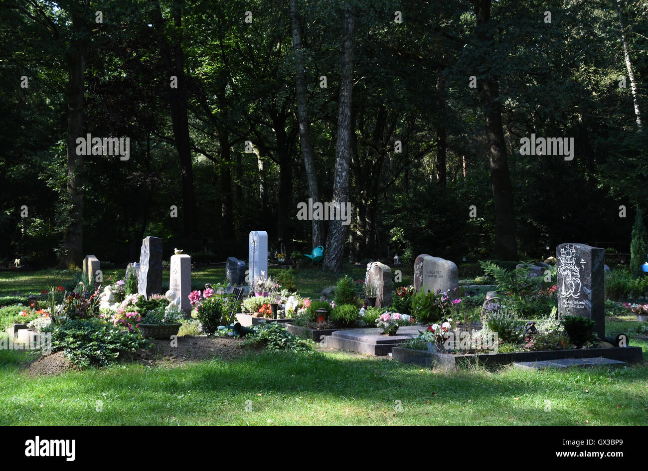 Blumenthal, Germany. 14th Sep, 2016. Freshly decorated graves can be ...