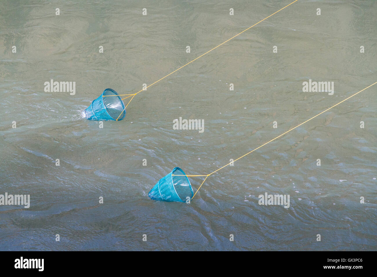 Crab nets hi-res stock photography and images - Alamy