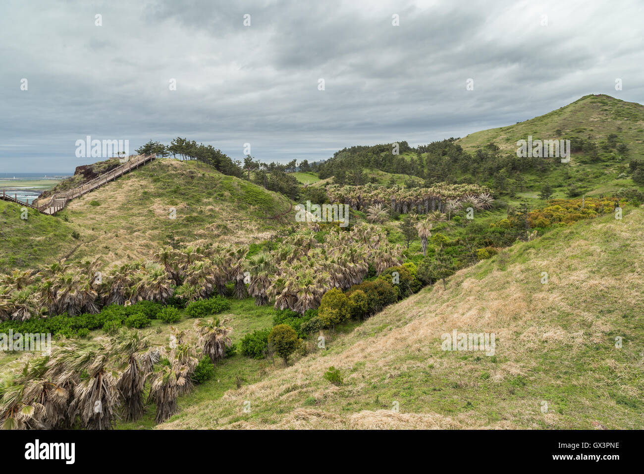 Songaksan mountain in jeju island hi-res stock photography and images ...