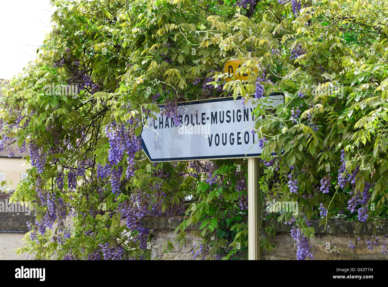 Route des caves hi-res stock photography and images - Alamy