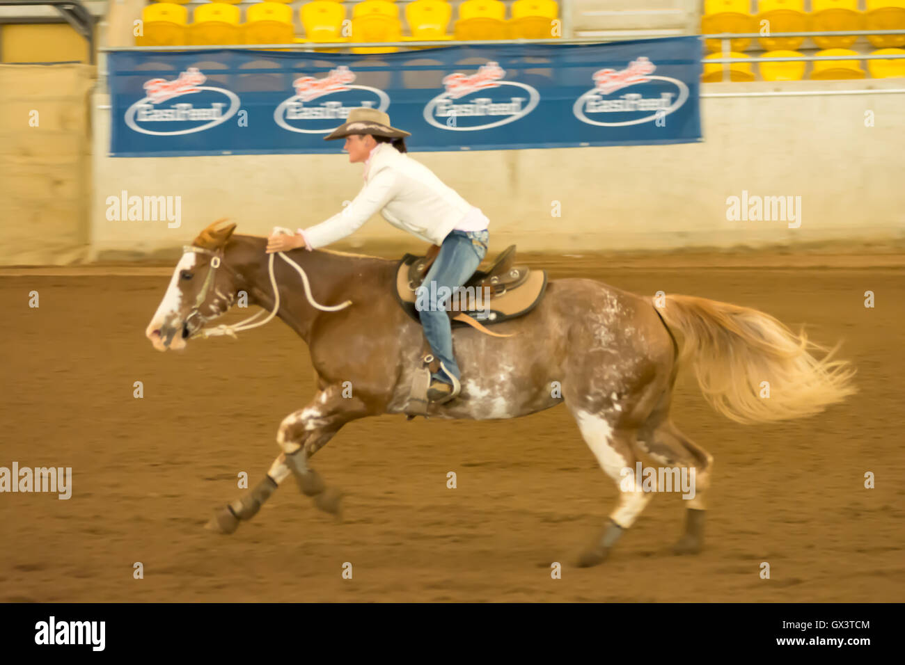 Cowgirl Barrel Racing at an Indoor Arena, Tamworth Stock Photo - Alamy