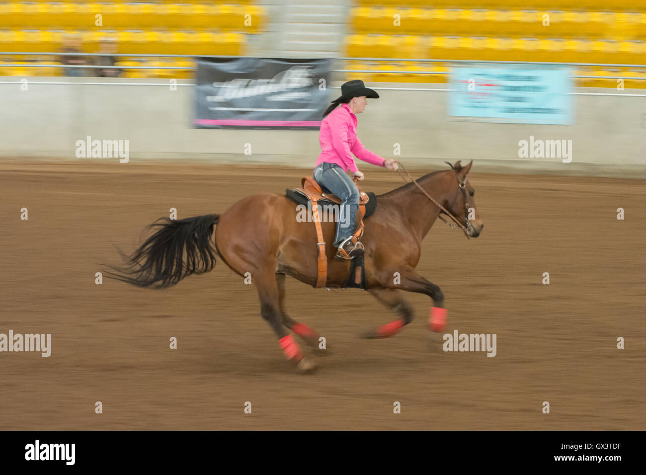 Barrel racing indoor arena tamworth hi-res stock photography and images ...