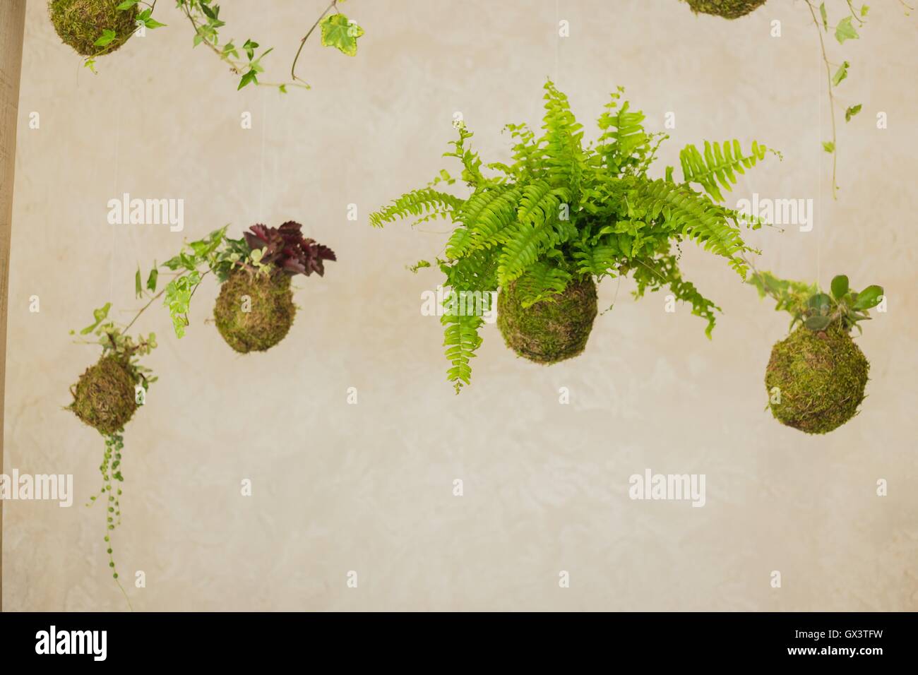 Large and small parterre hi-res stock photography and images - Alamy