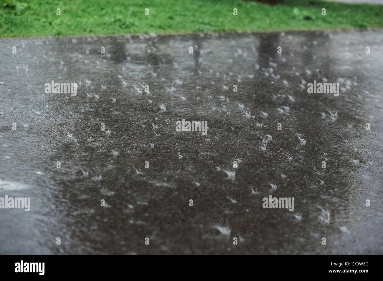 heavy rain drops falling on city asphalt during downpour Stock Photo ...