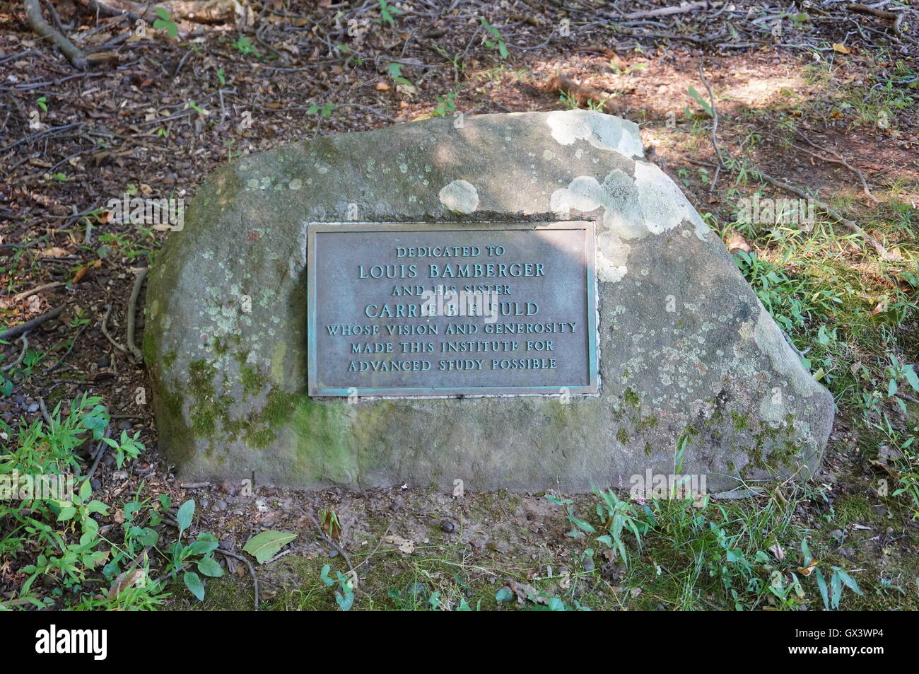 Oppenheimer and einstein hi-res stock photography and images - Alamy
