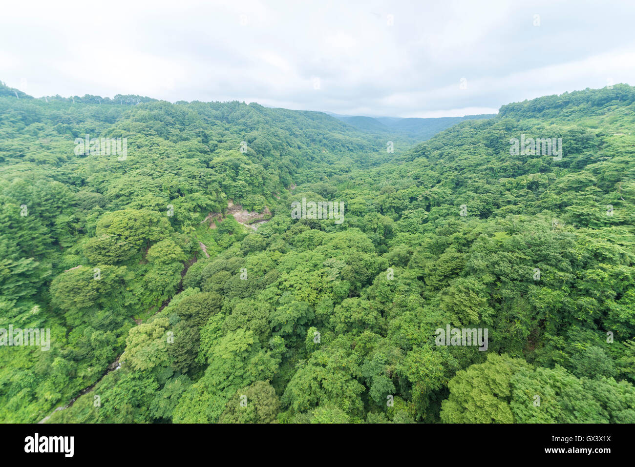Kawamata Canyon view from Yatsugatake Kogen Ohashi Bridge, Hokuto City ...