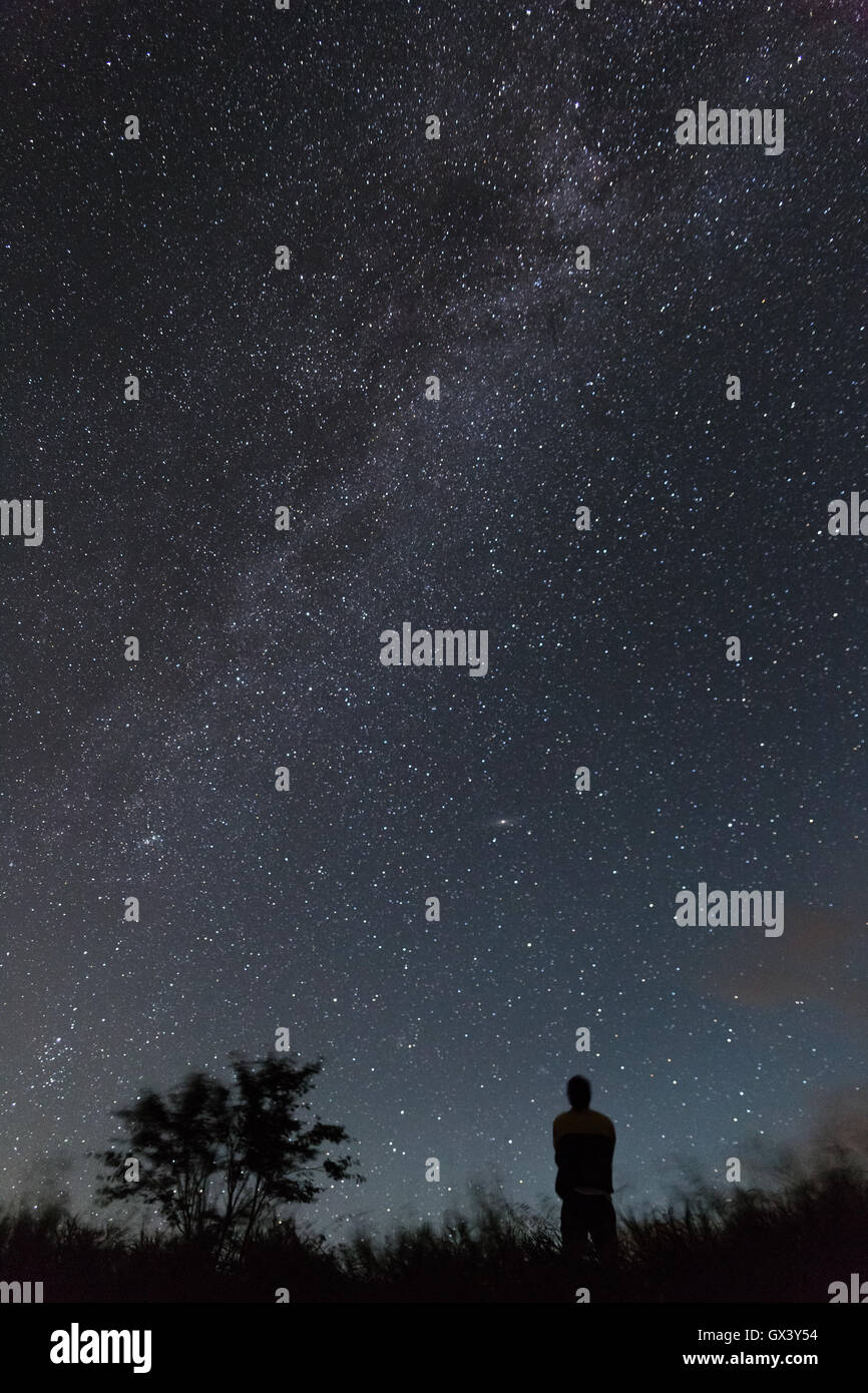 Star gazing hi-res stock photography and images - Alamy