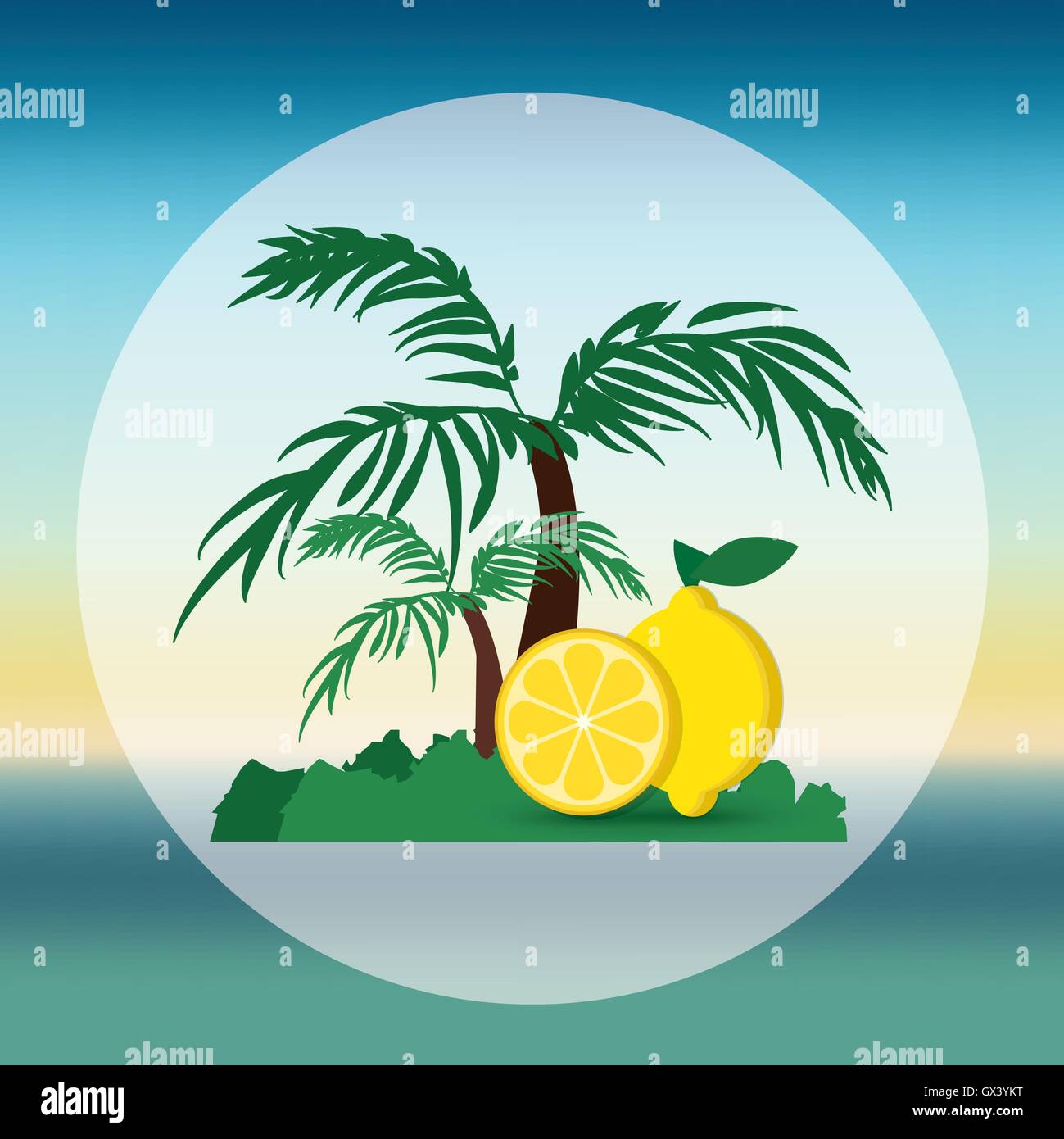 Lemon fruit and summer concept Stock Vector Image & Art - Alamy