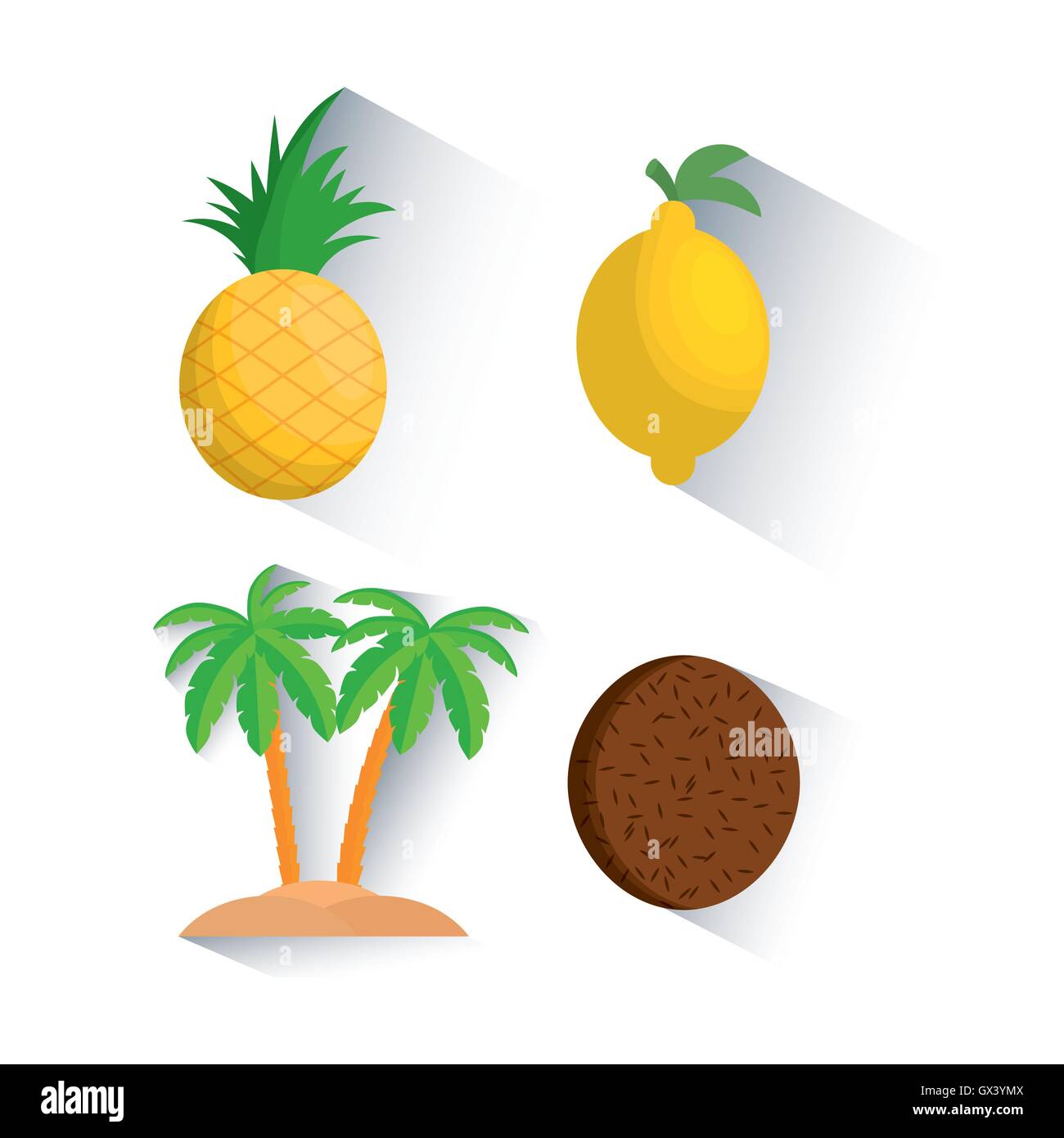 Coconut pineapple fruit and summer concept Stock Vector Image & Art - Alamy