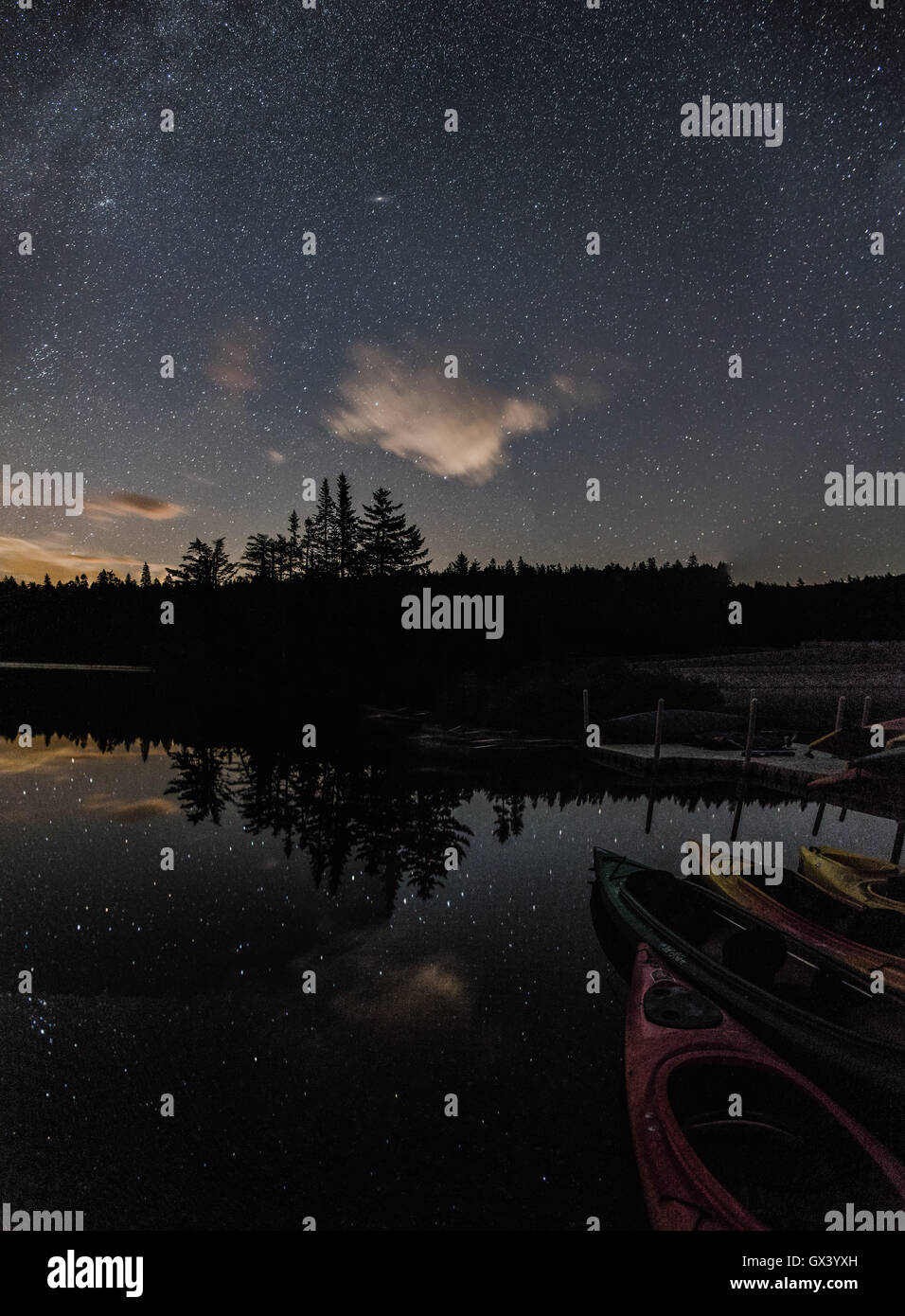 The night forest hi-res stock photography and images - Alamy