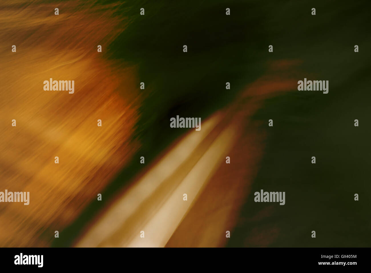 Abstract background blur and multi-colored photo effects Stock Photo ...