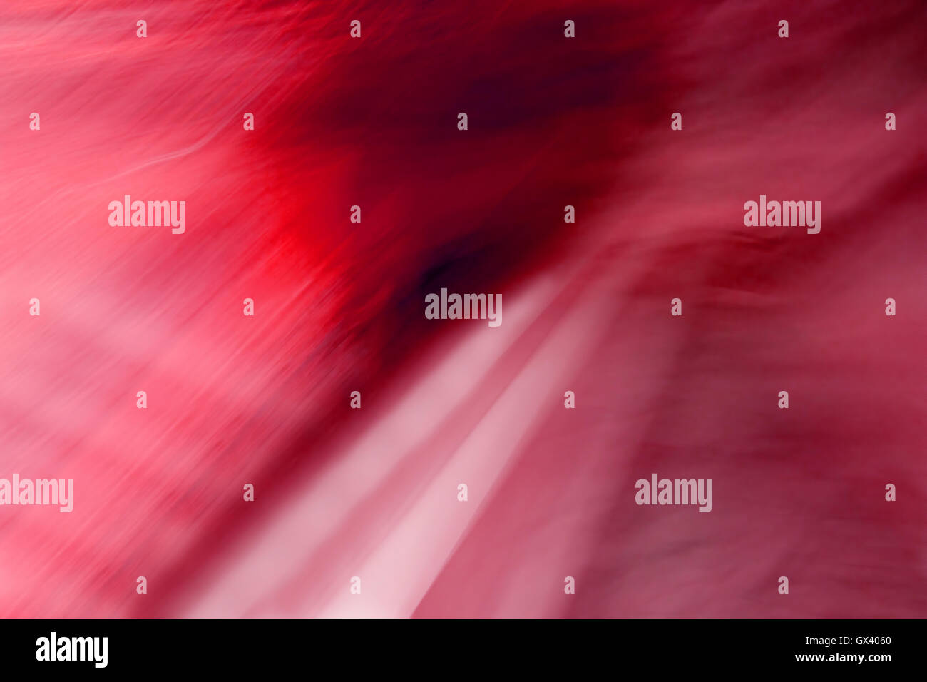 Abstract background blur and multi-colored photo effects Stock Photo ...