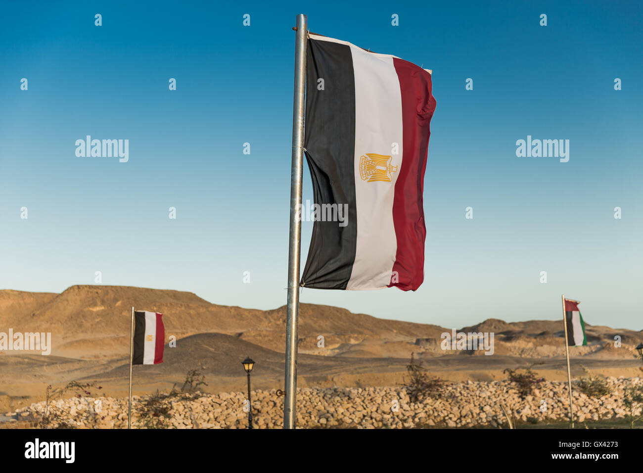 Egyptian flag on flagpole Stock Photo - Alamy