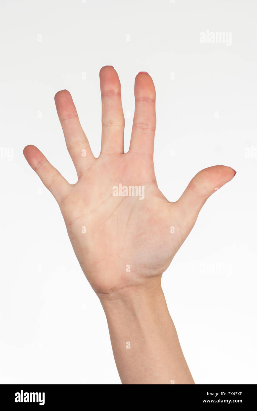 Woman's hand counting five Stock Photo - Alamy