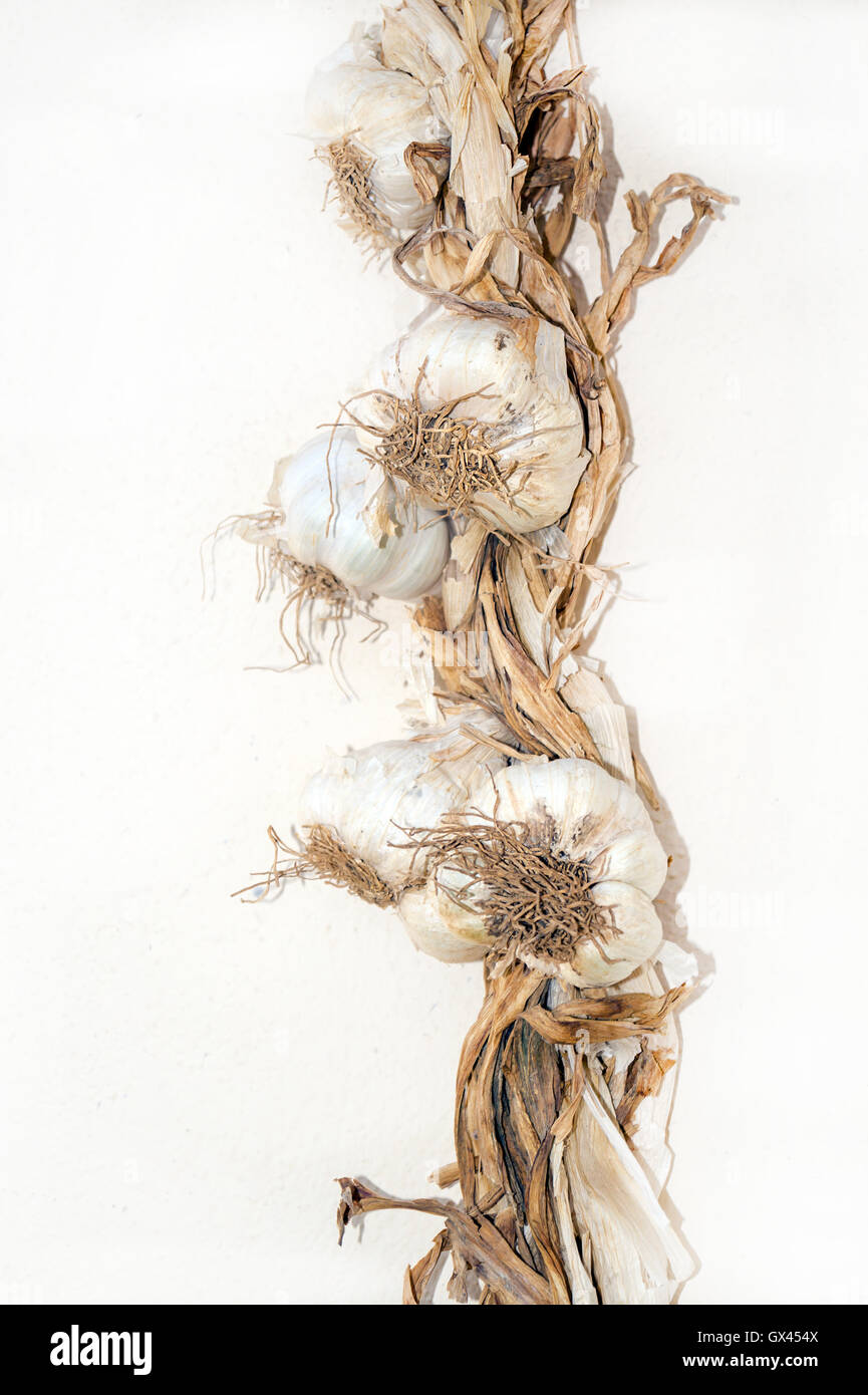 String of garlic on yellow wall Stock Photo - Alamy