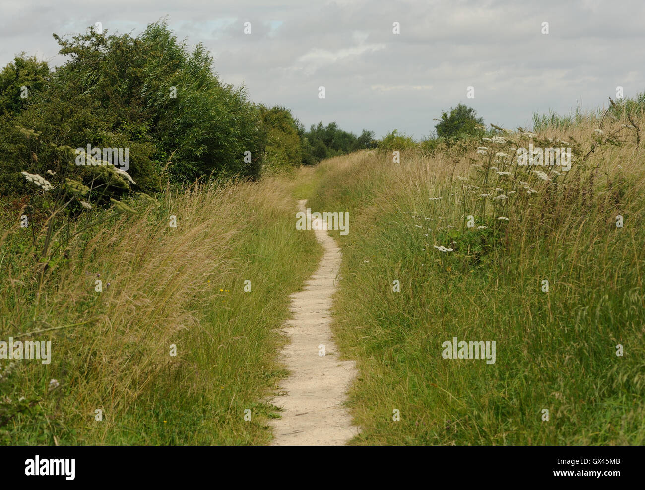 A well worn footpath runs along a hedge through long mid-summer grass ...