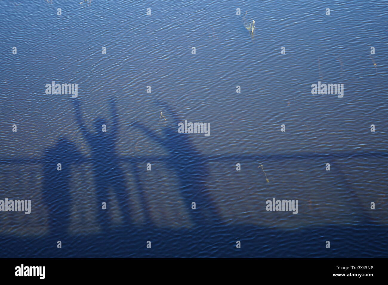 Shadow Of Person Stock Photo - Alamy