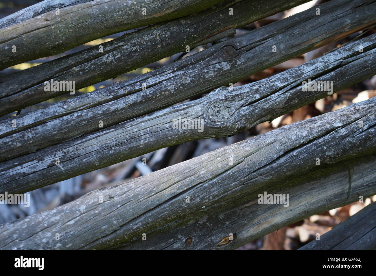 Wood Texture Background mottled, structure, marble grain black Stock ...