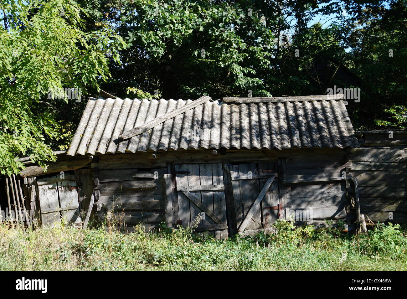 An old wooden granary in fall with dry weeds and grass in the ...