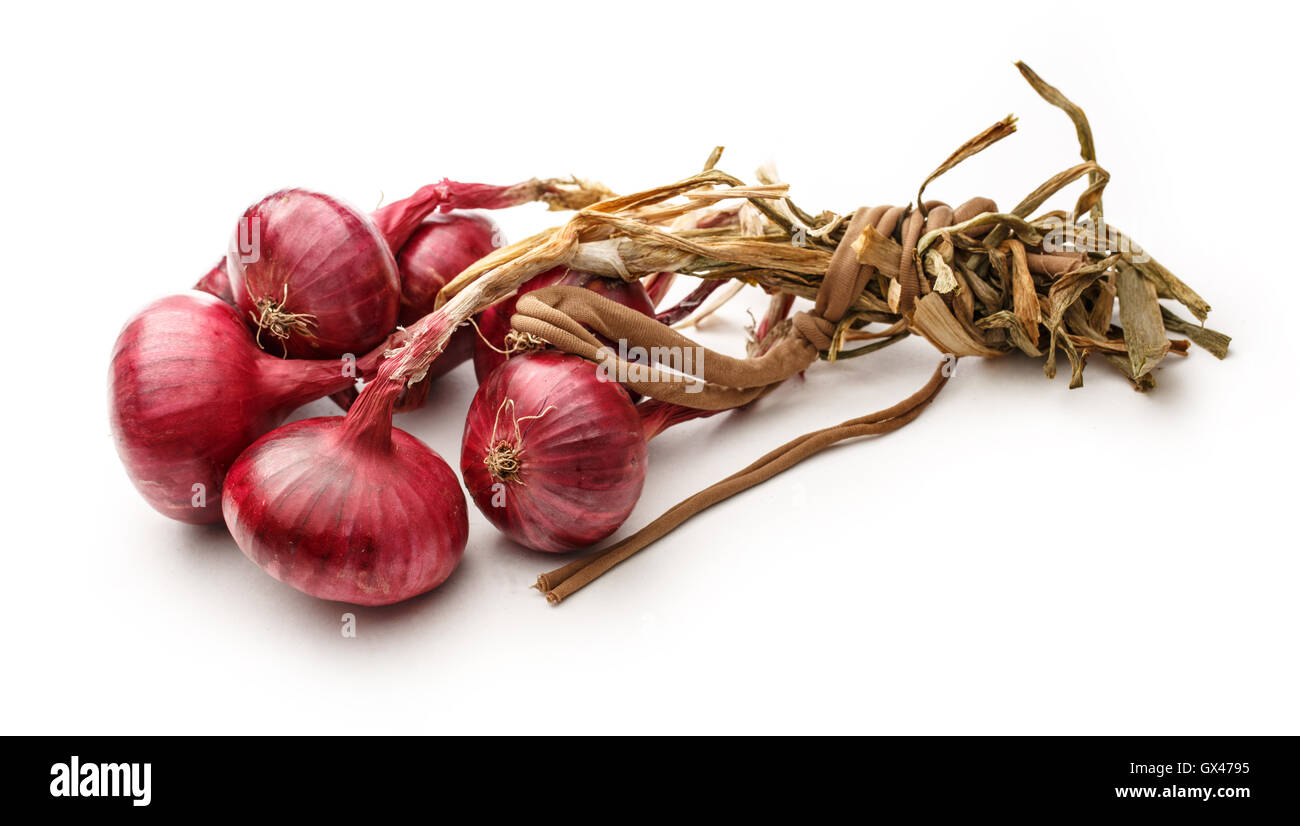 Whole fresh onion on Cut Out Stock Images & Pictures - Alamy