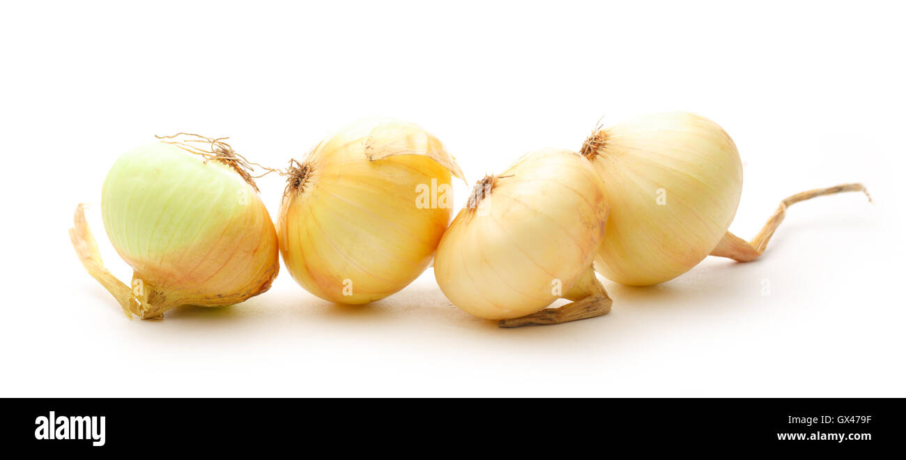 Fresh onion on the white background closeup Stock Photo - Alamy