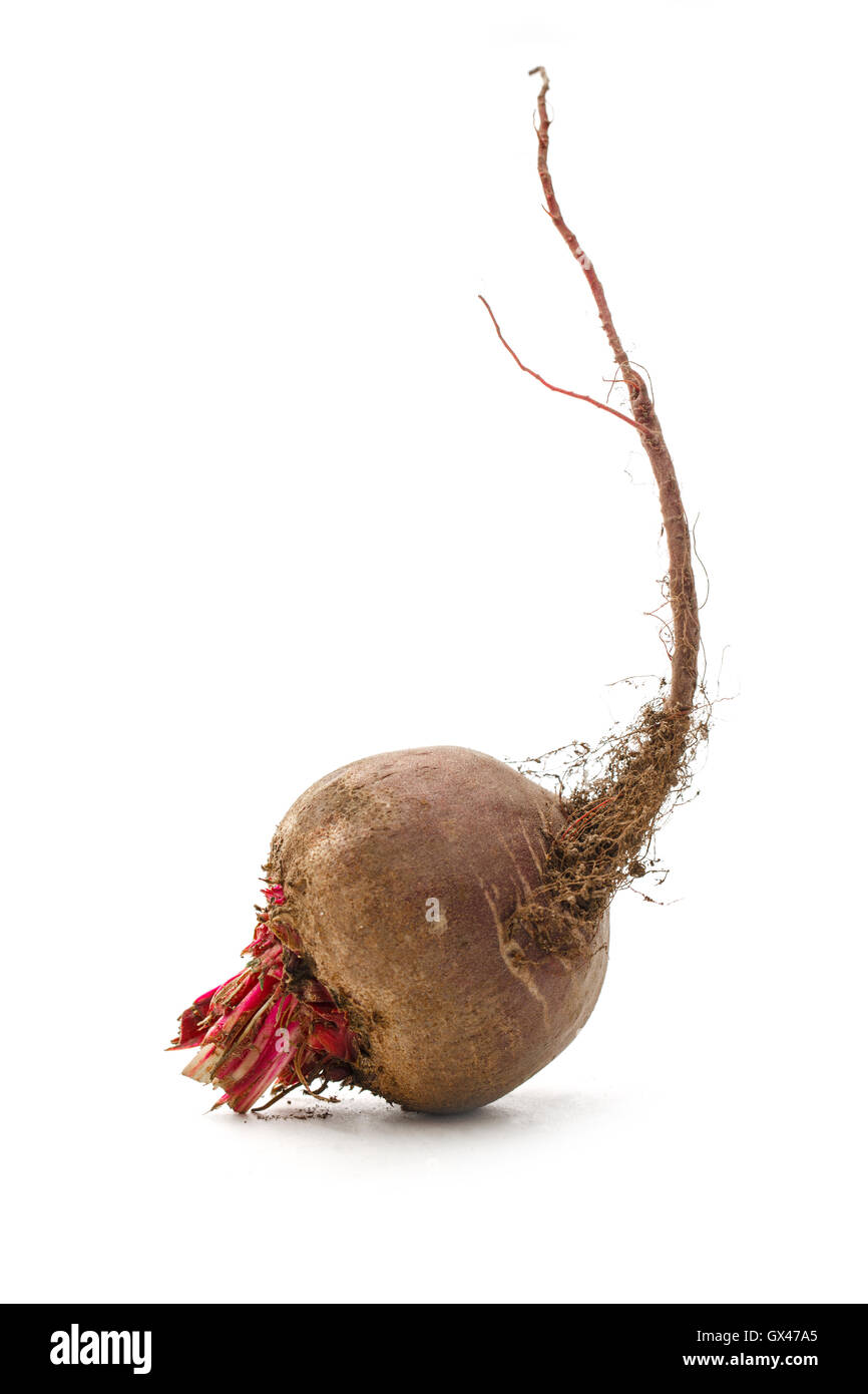 Young beet from garden on white background Stock Photo - Alamy