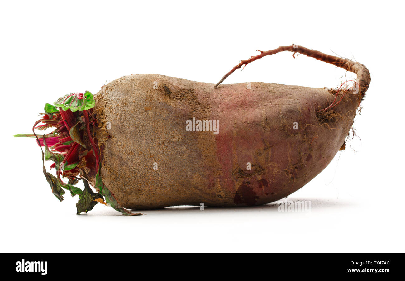Young beet from garden on white background Stock Photo - Alamy