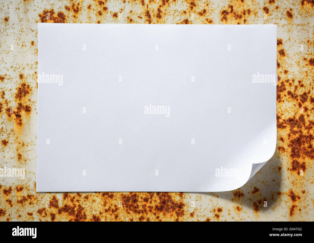 Blank sheet of paper as white background Stock Photo - Alamy