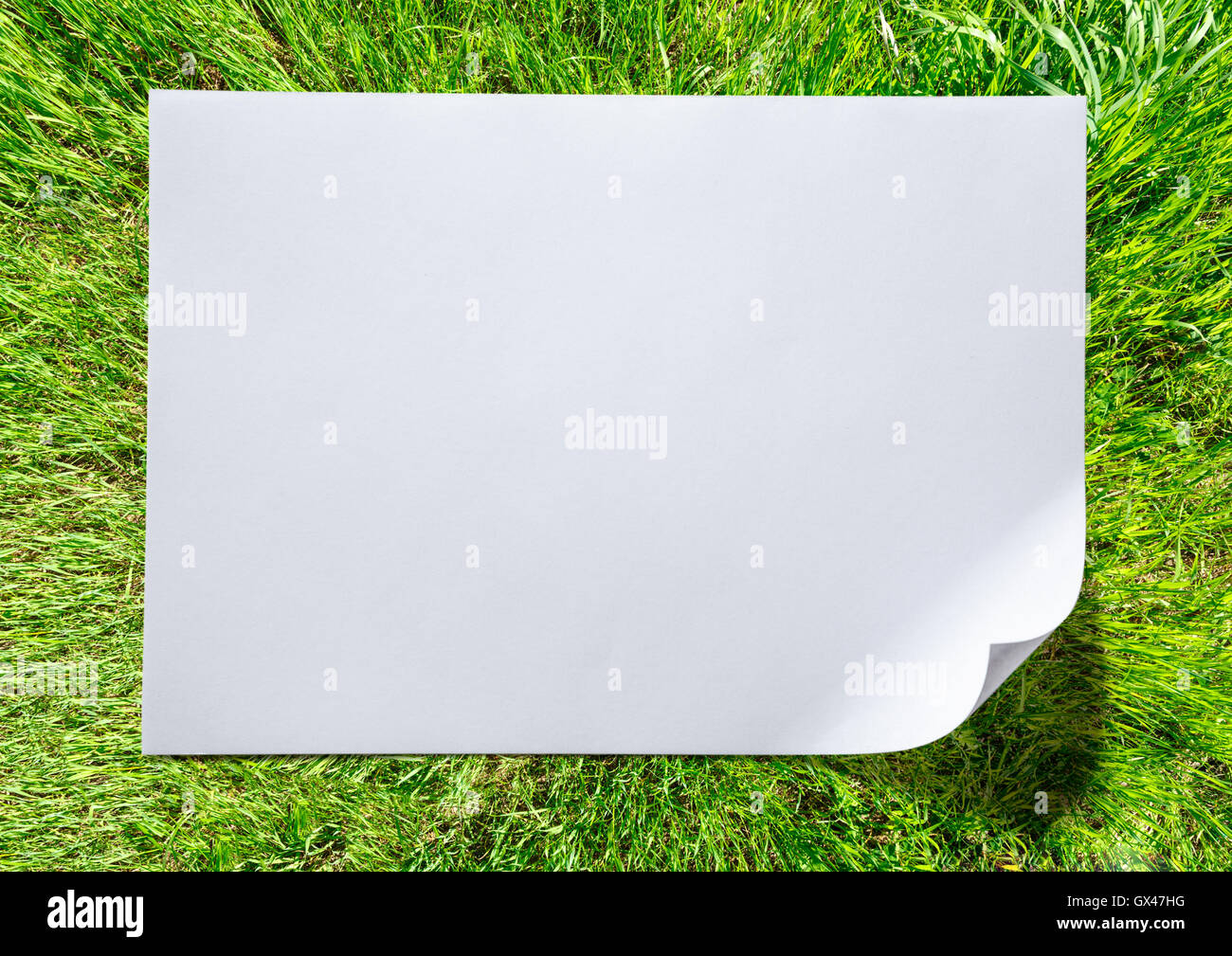 Blank sheet of paper as white background Stock Photo - Alamy