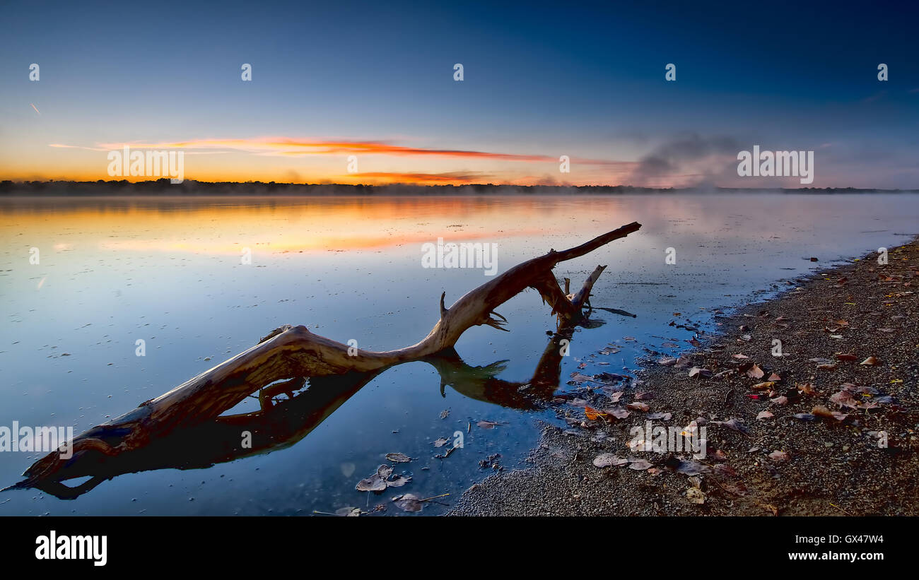 Waterlog hi-res stock photography and images - Alamy
