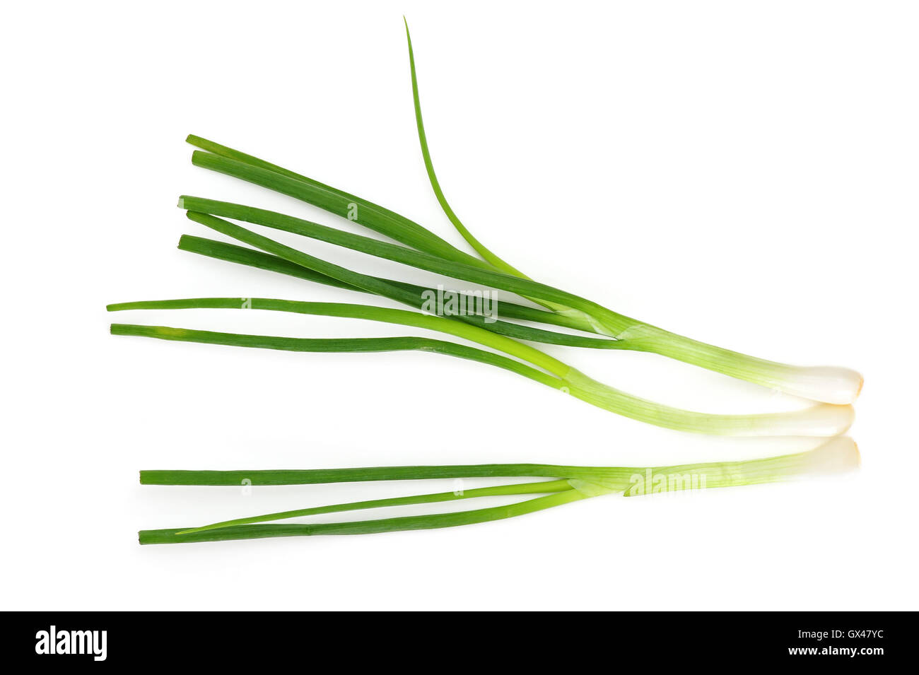 Fresh scallions Cut Out Stock Images & Pictures - Alamy