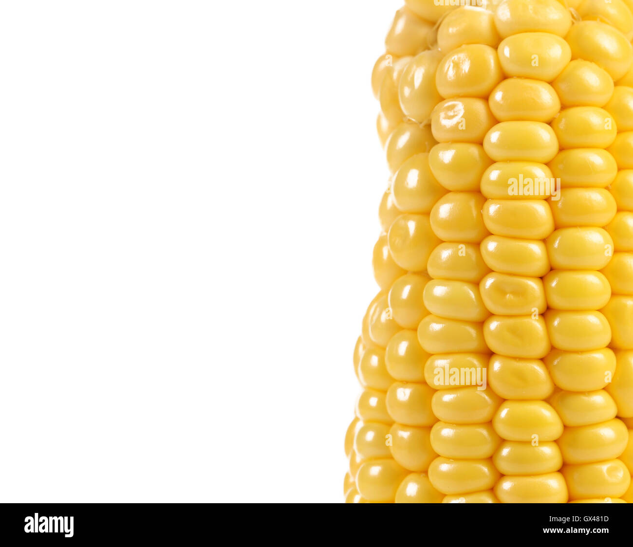 Boiled corn and white background 50/50 Stock Photo - Alamy