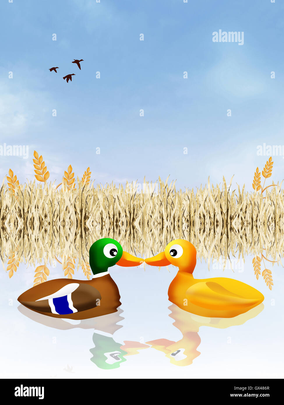 family of ducks Stock Photo - Alamy