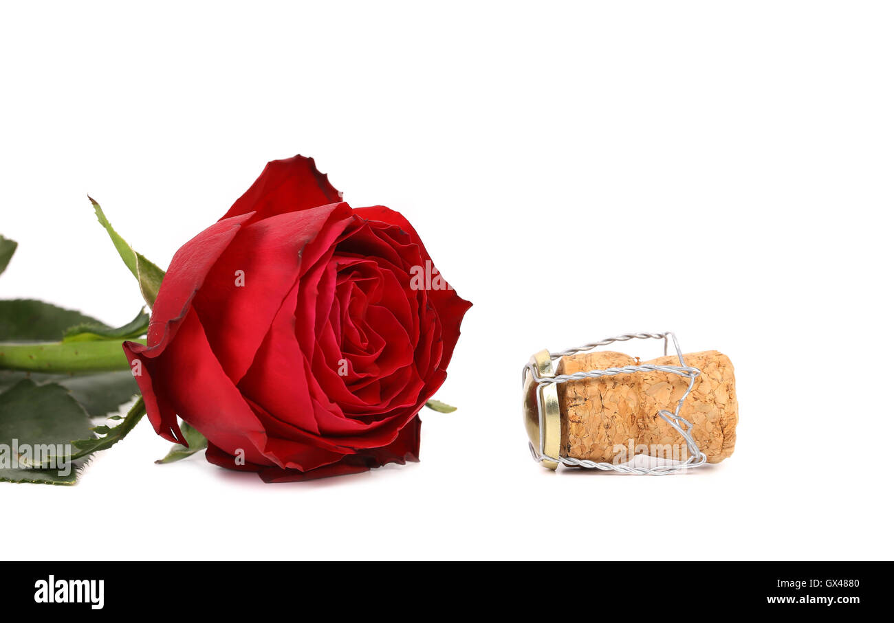 wet red rose and a cork Stock Photo - Alamy