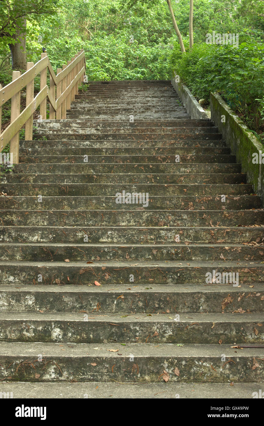 Beautiful stairway in the park Stock Photo - Alamy