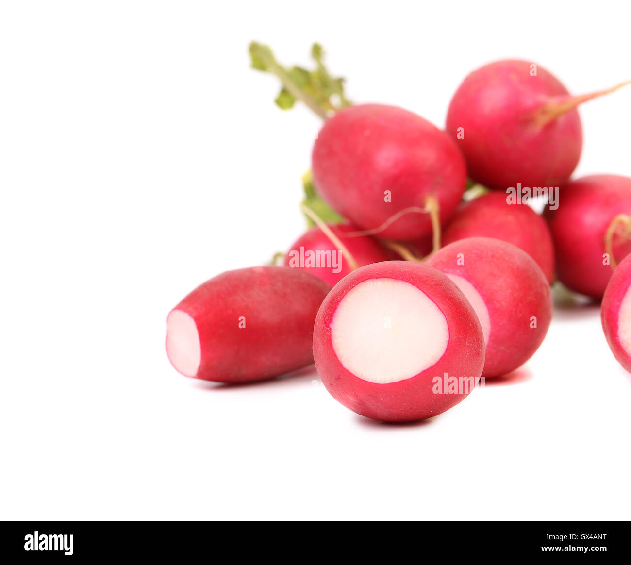 Small garden radish and slices Stock Photo - Alamy