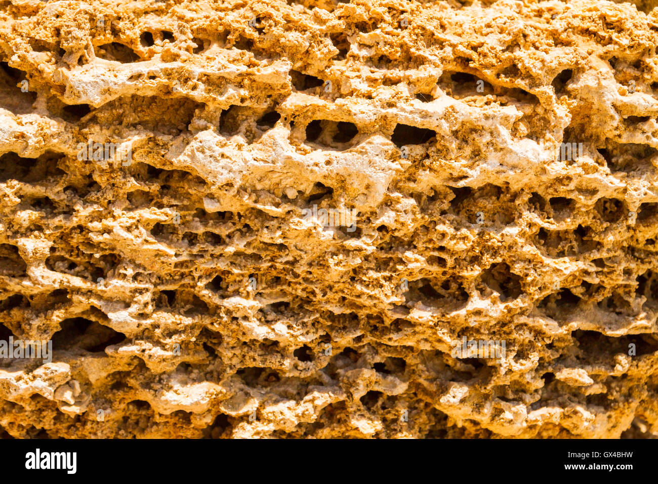 Natural material for the construction of coquina Stock Photo - Alamy