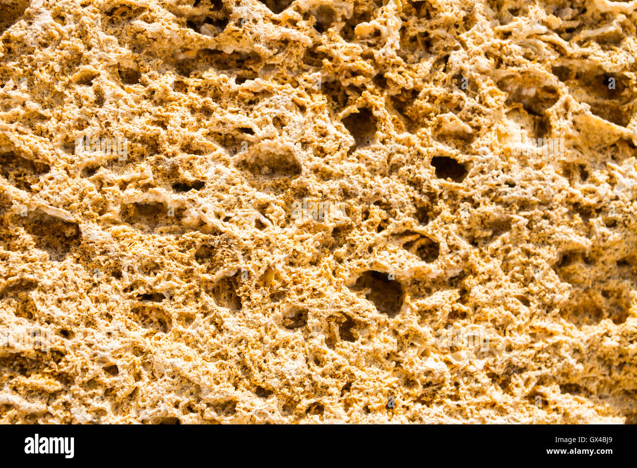 Natural material for the construction of coquina Stock Photo - Alamy