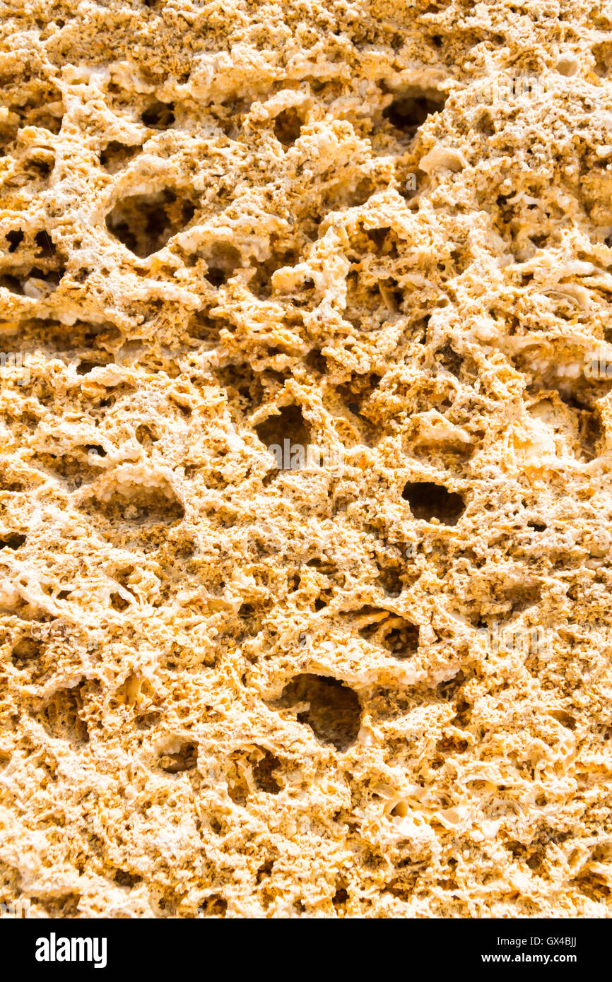 Natural material for the construction of coquina Stock Photo - Alamy