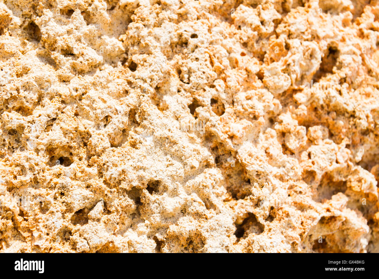 Natural material for the construction of coquina Stock Photo - Alamy