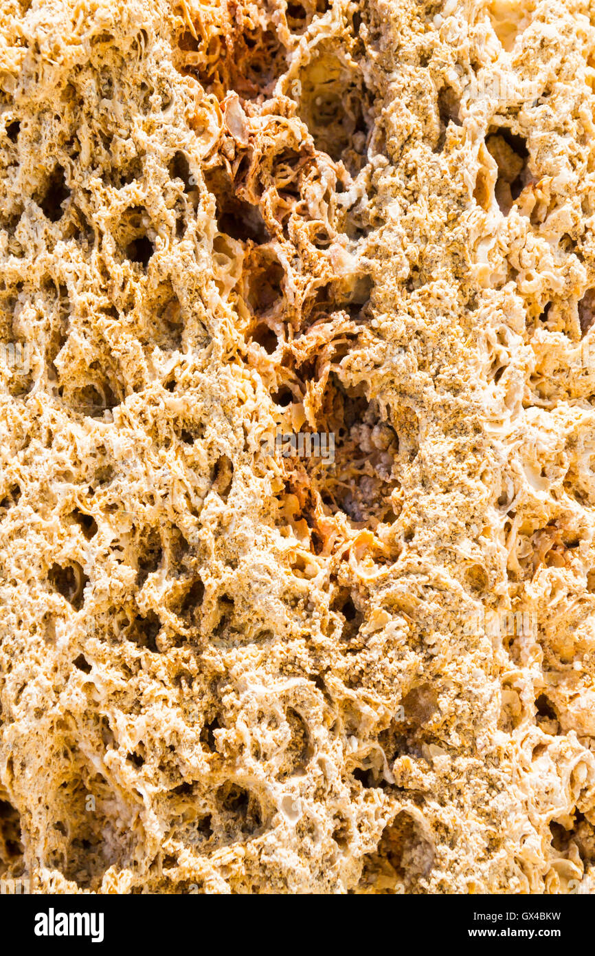 Natural material for the construction of coquina Stock Photo - Alamy