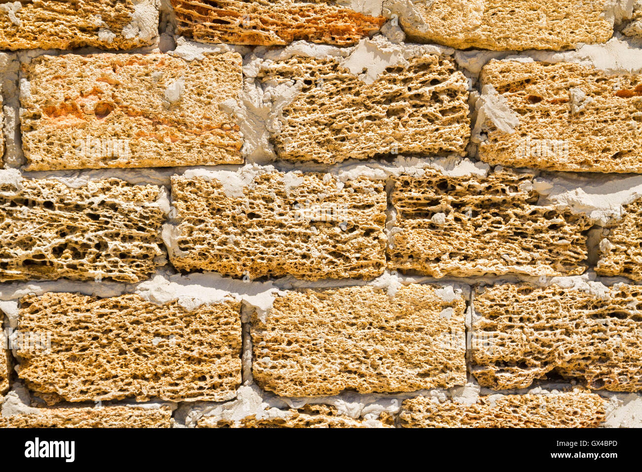 Natural material for the construction of coquina Stock Photo - Alamy