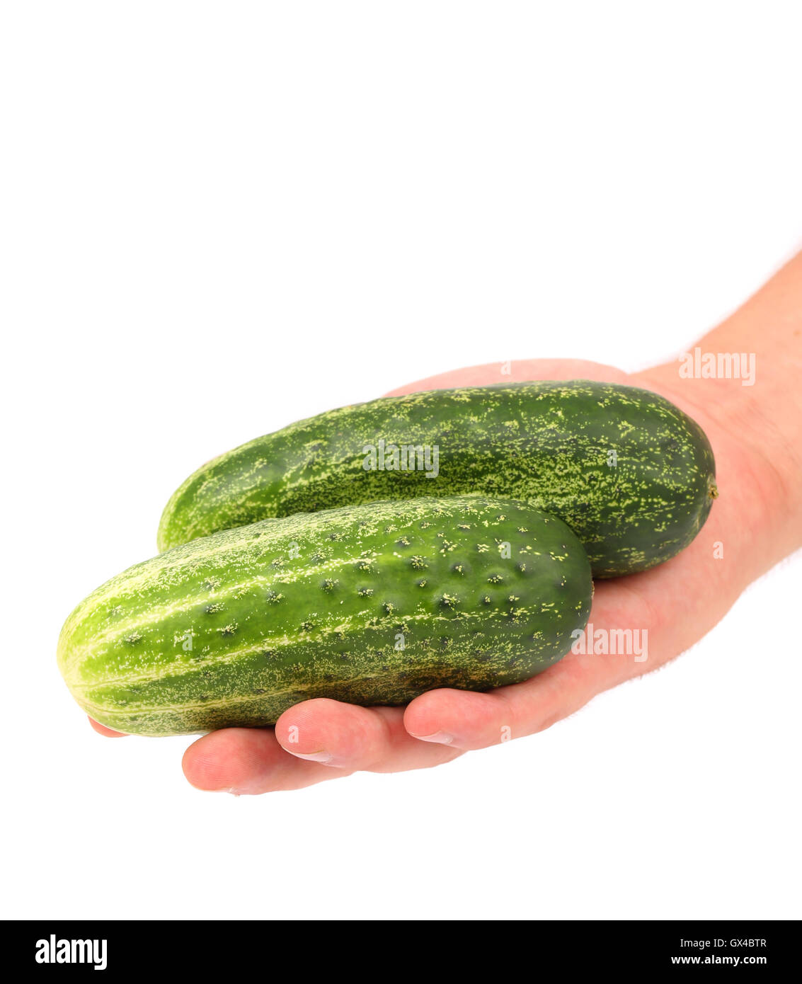 cucumber in human hand Stock Photo - Alamy