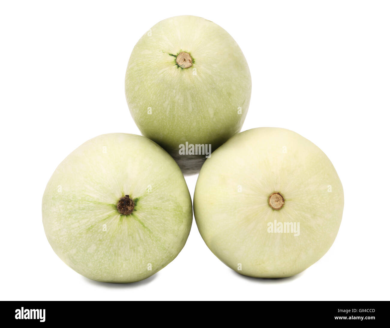 Tails of fresh vegetable marrow Stock Photo - Alamy