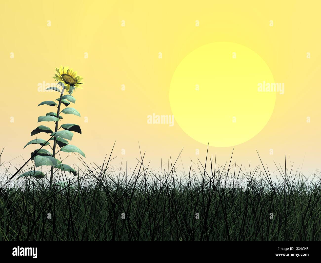 3d sun render hi-res stock photography and images - Alamy